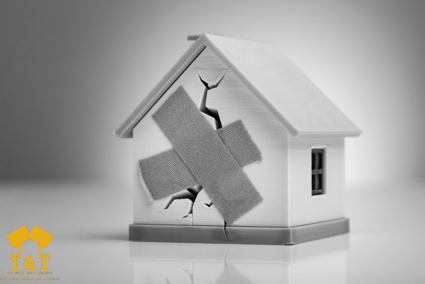 Wear and tear vs Intentional damage - T & T Property Management